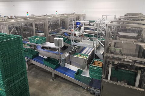 Packing Operative - Adrian Scripps Ltd