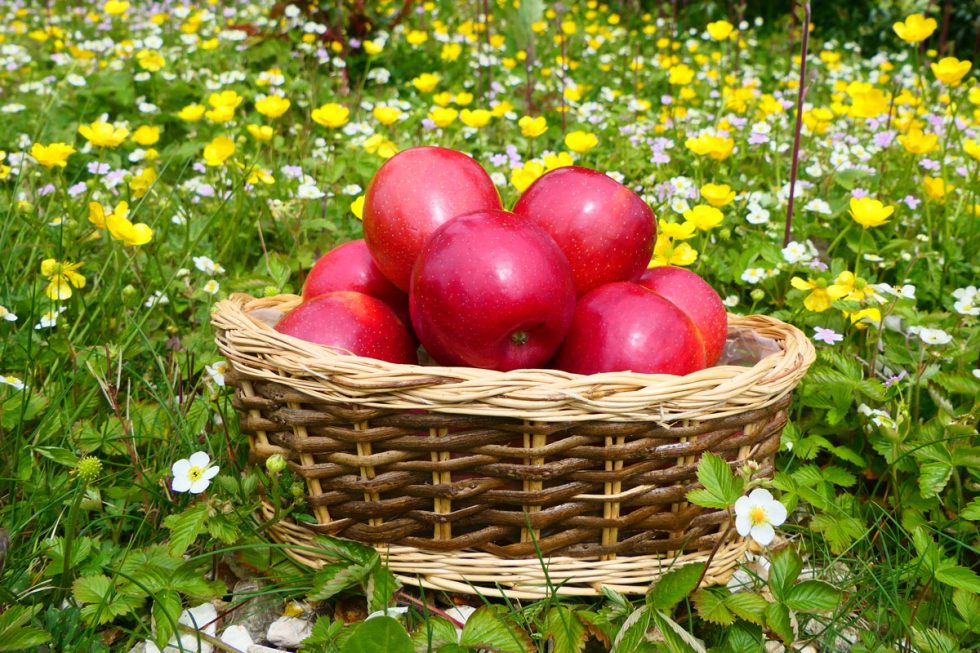 Our Produce - Adrian Scripps Ltd